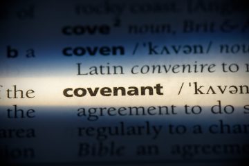 Covenant,Word,In,A,Dictionary.,Covenant,Concept,,Definition. - The Carter Report